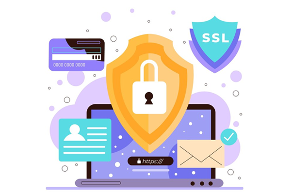 What is an SSL Certificate: Purpose, Types, and Installation | NEXT BASKET