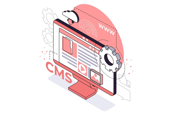 Types of CMS Platforms For Ecommerce | NEXT BASKET